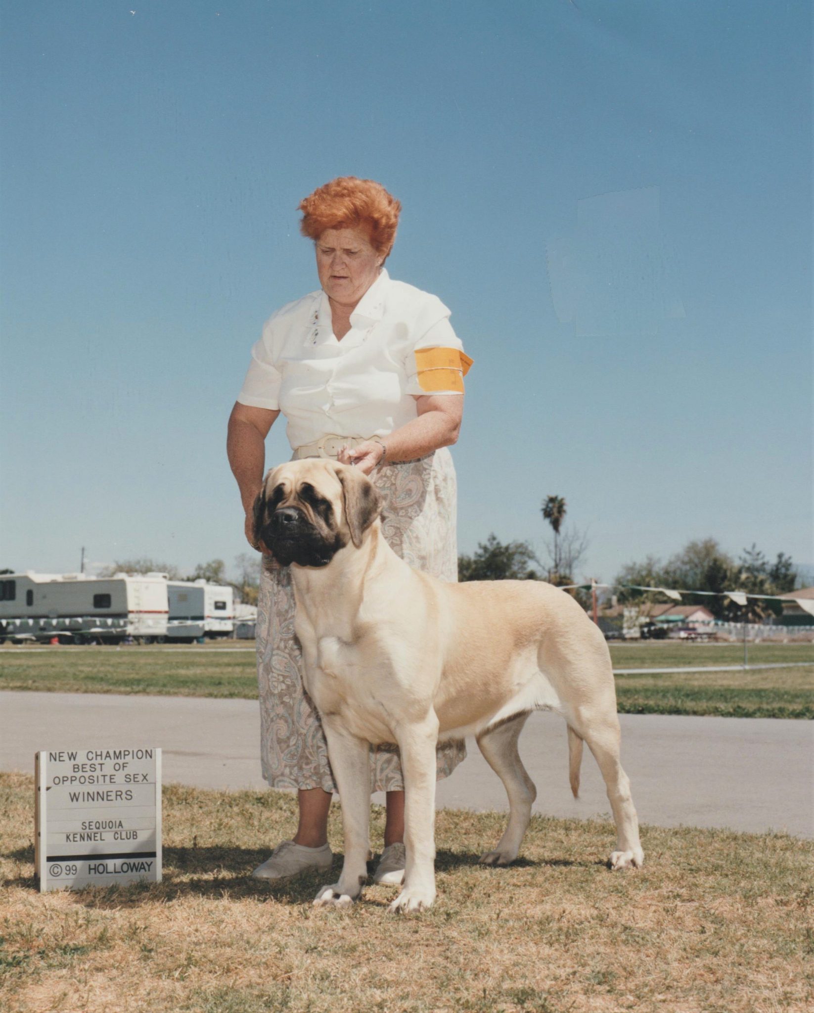 CH Iron Hills Masties Macy – Ironways Mastiffs