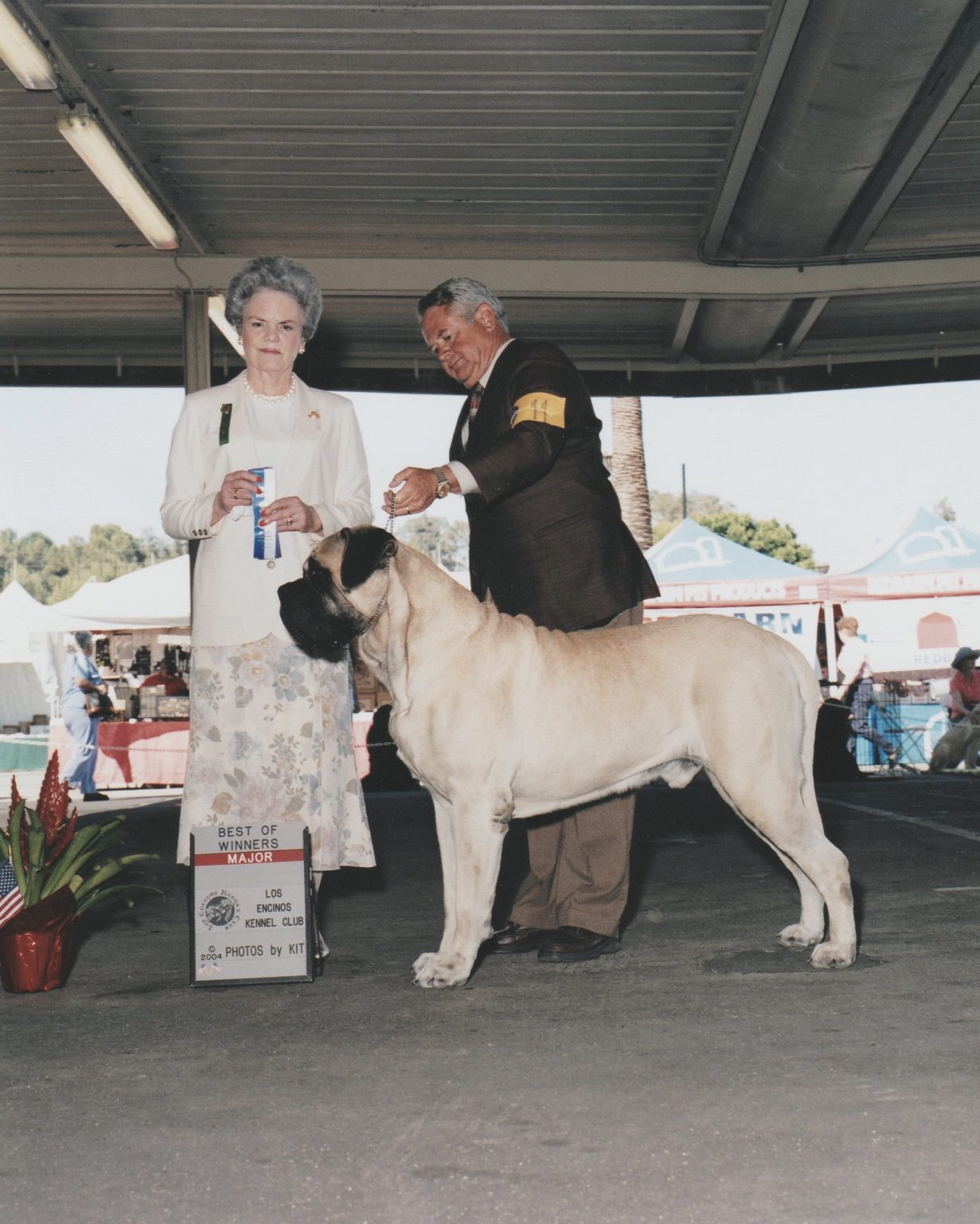 CH Iron Hills Ironways Bluprint – Ironways Mastiffs